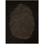 God's Fingerprint - Illuminated Edition (NIV) | Scripture Art Print